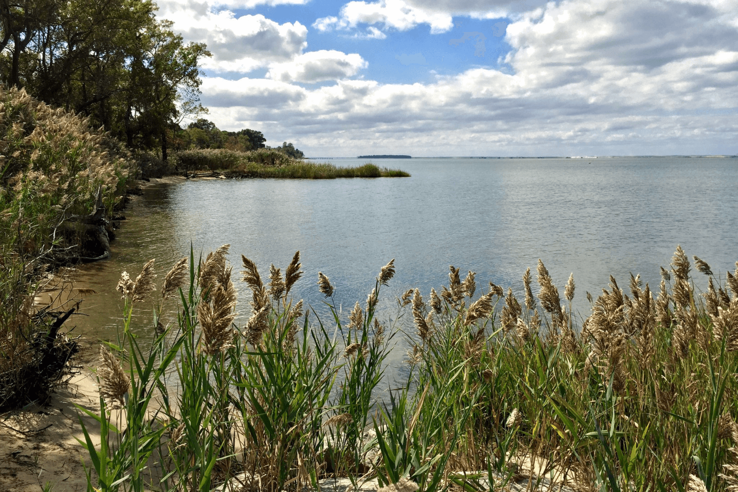 How You Can Have The Best Spring Getaway From D.C. | Inn At ...